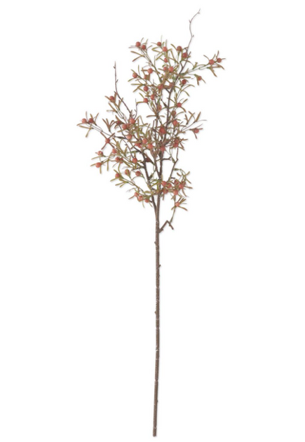 Orange Rust Berry Stem, 30" – The Shop by Design Shop